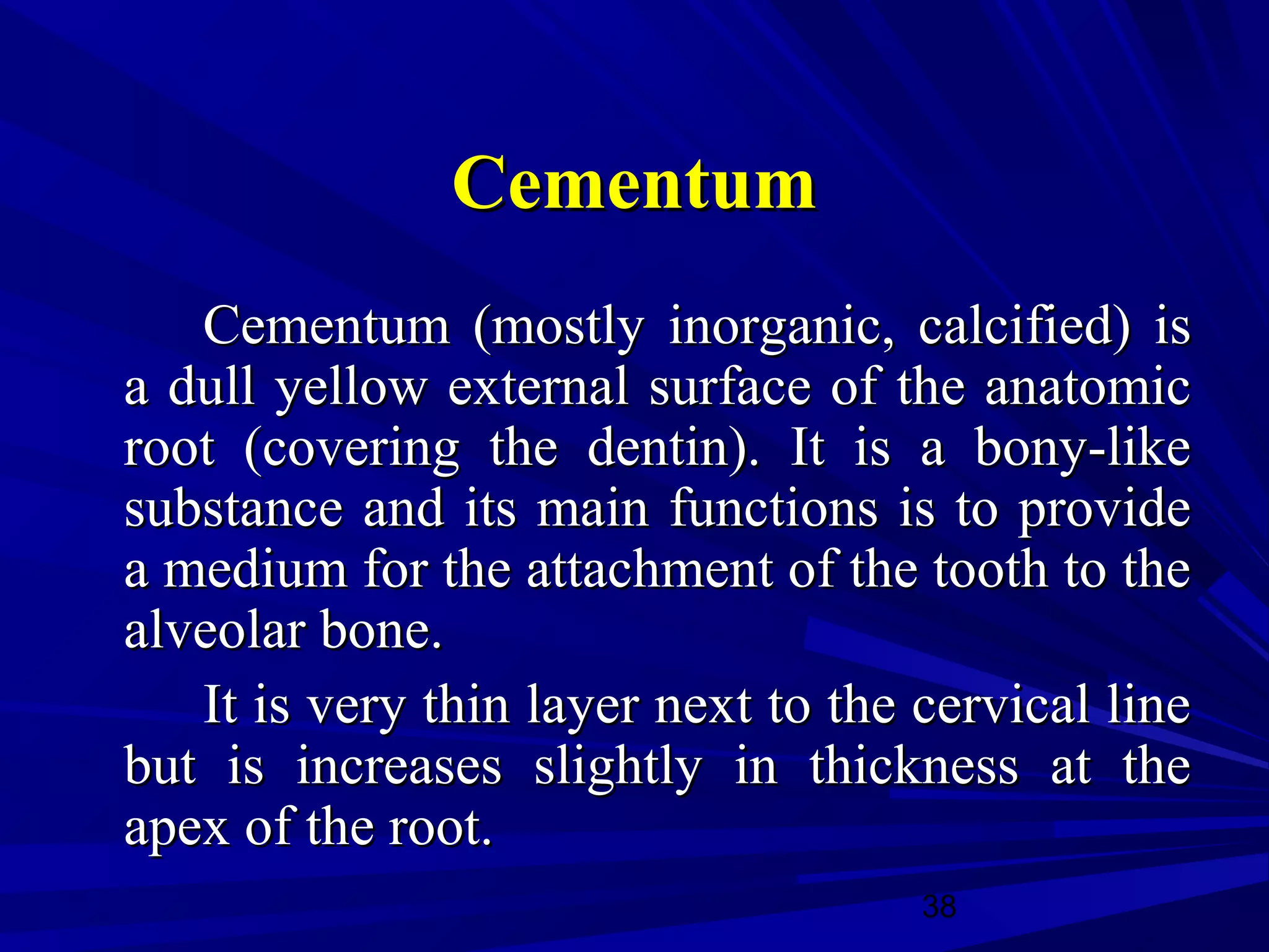 Life cycle of the teeth & tooth structure | PPT