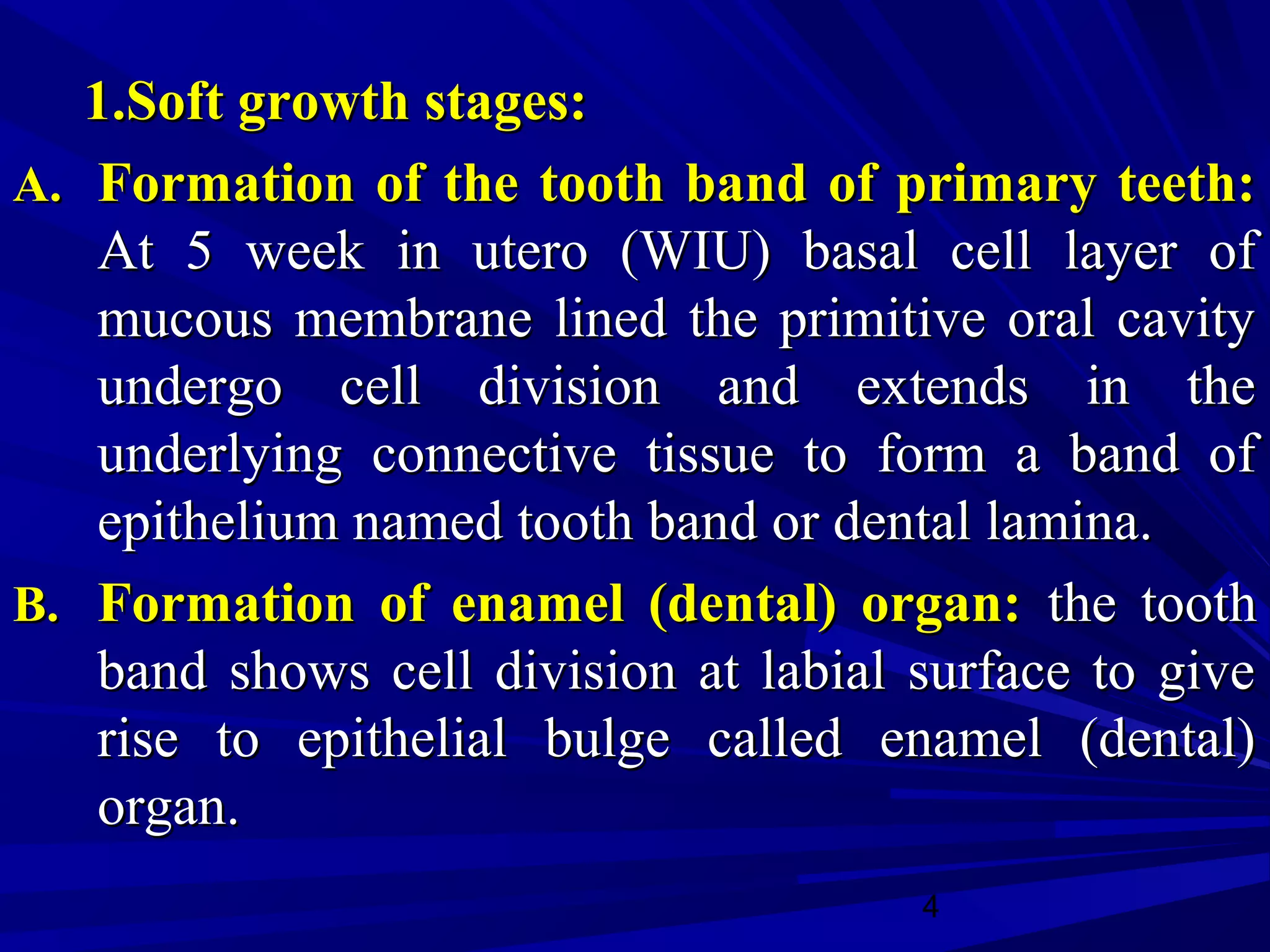 Life cycle of the teeth & tooth structure | PPT