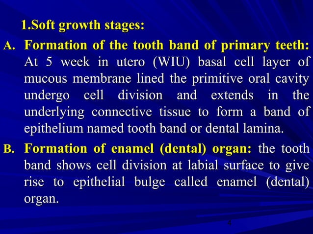 Life cycle of the teeth & tooth structure | PPT