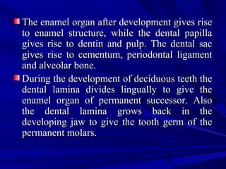 Life cycle of the teeth & tooth structure | PPT