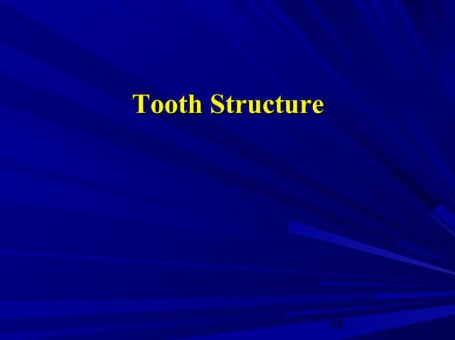 Life cycle of the teeth & tooth structure