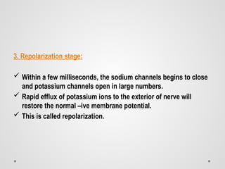 Physiology of nerve fibres pdf and ppt.. | PPTX