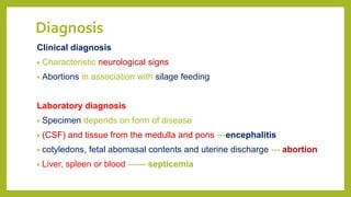 1 lec Listeriosis.pptx