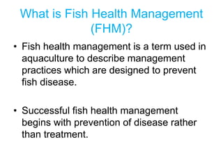 1 Lecture 1 Basic Fish Health Terminologies.pdf