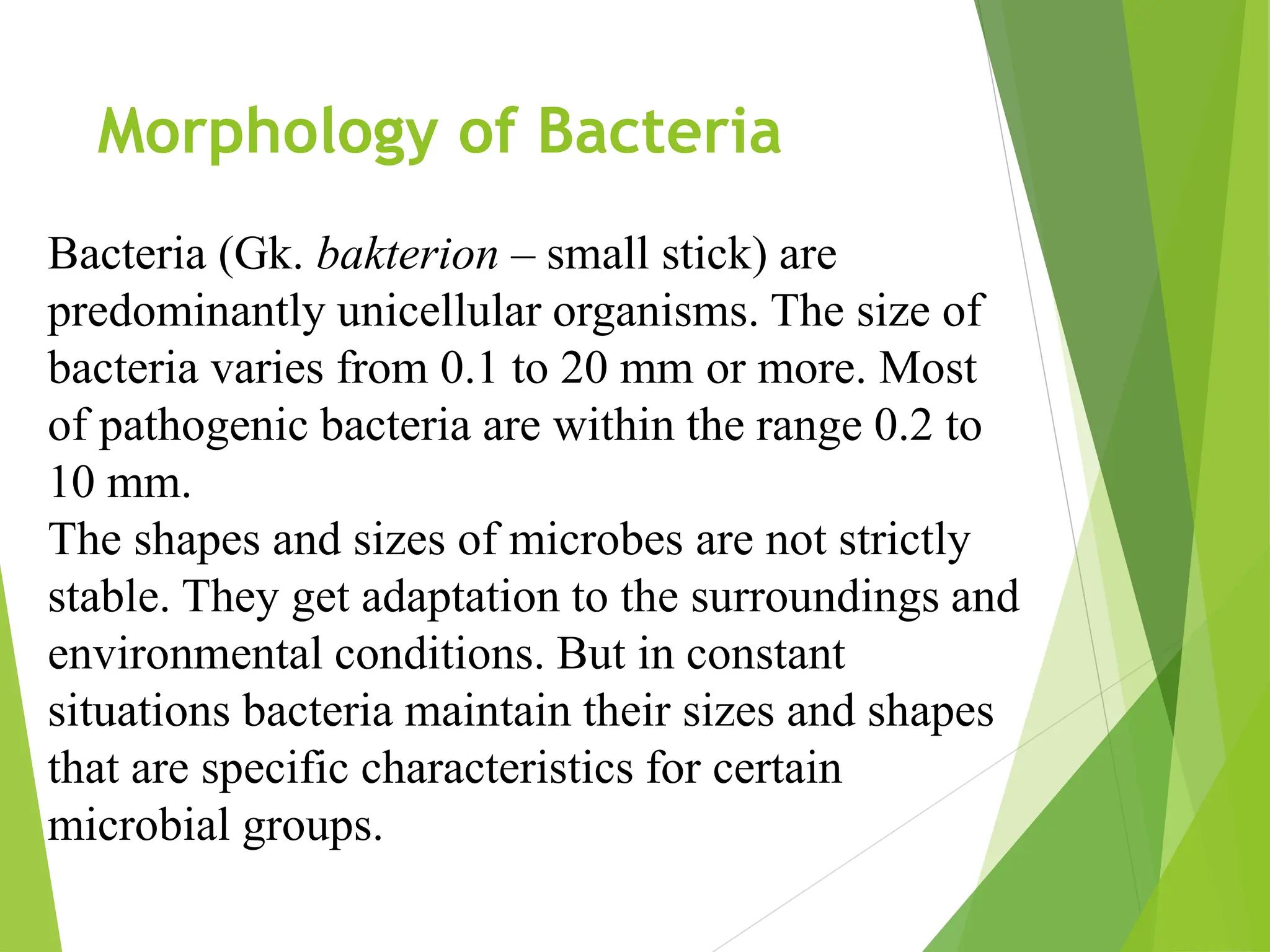 General microbiology, structure of bacterial cells.ppt