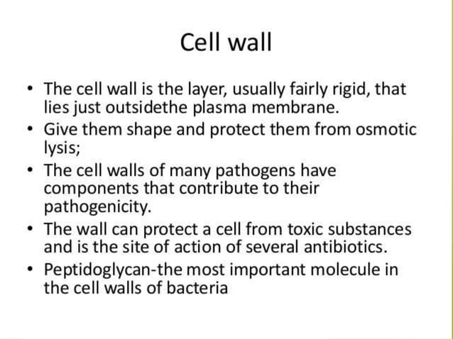 General microbiology, structure of bacterial cells.ppt