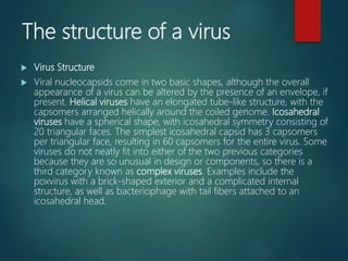 1 lecture virology 2021 | PPT