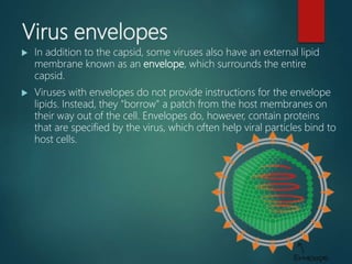 1 lecture virology 2021 | PPT
