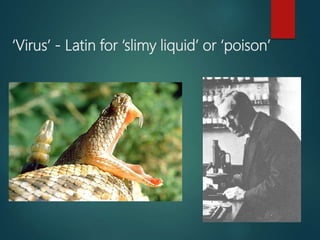 1 lecture virology 2021 | PPT