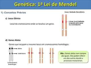 1 Lei de Mendel | PPT