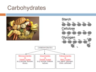 Apologia Biology Presentation 1 - Life, Scientific Method, and Biochem ...