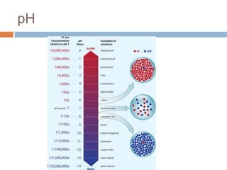 Apologia Biology Presentation 1 - Life, Scientific Method, and Biochem ...
