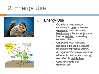 Apologia Biology Presentation 1 - Life, Scientific Method, and Biochem ...