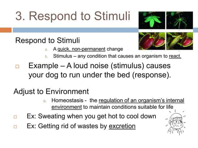 Apologia Biology Presentation 1 - Life, Scientific Method, and Biochem ...