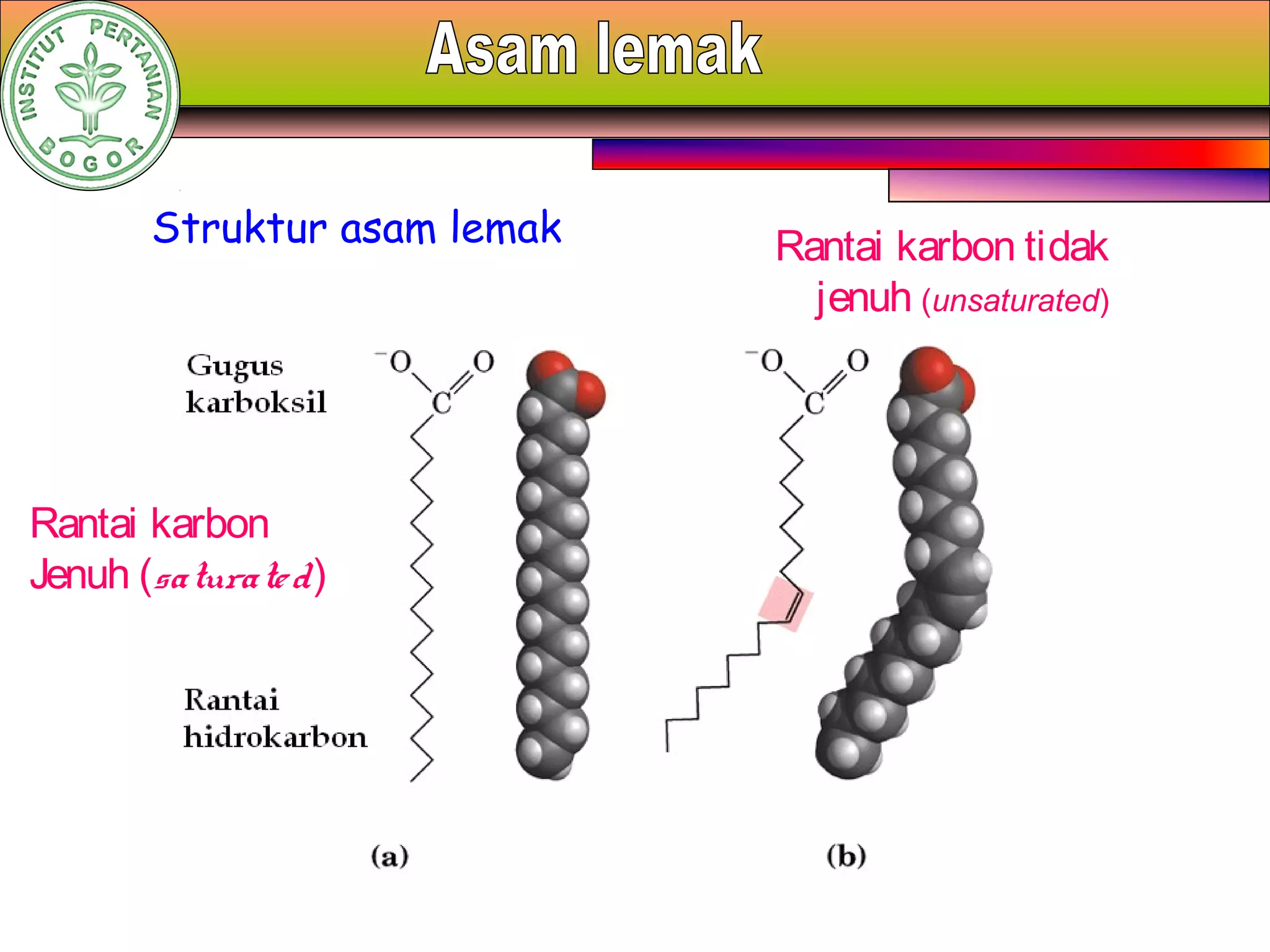1 lipid dan-membran | PPT