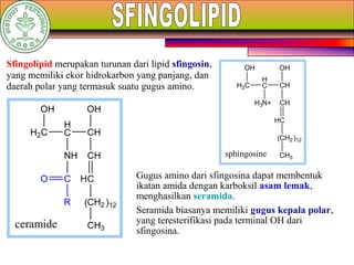 1 lipid dan-membran | PPT