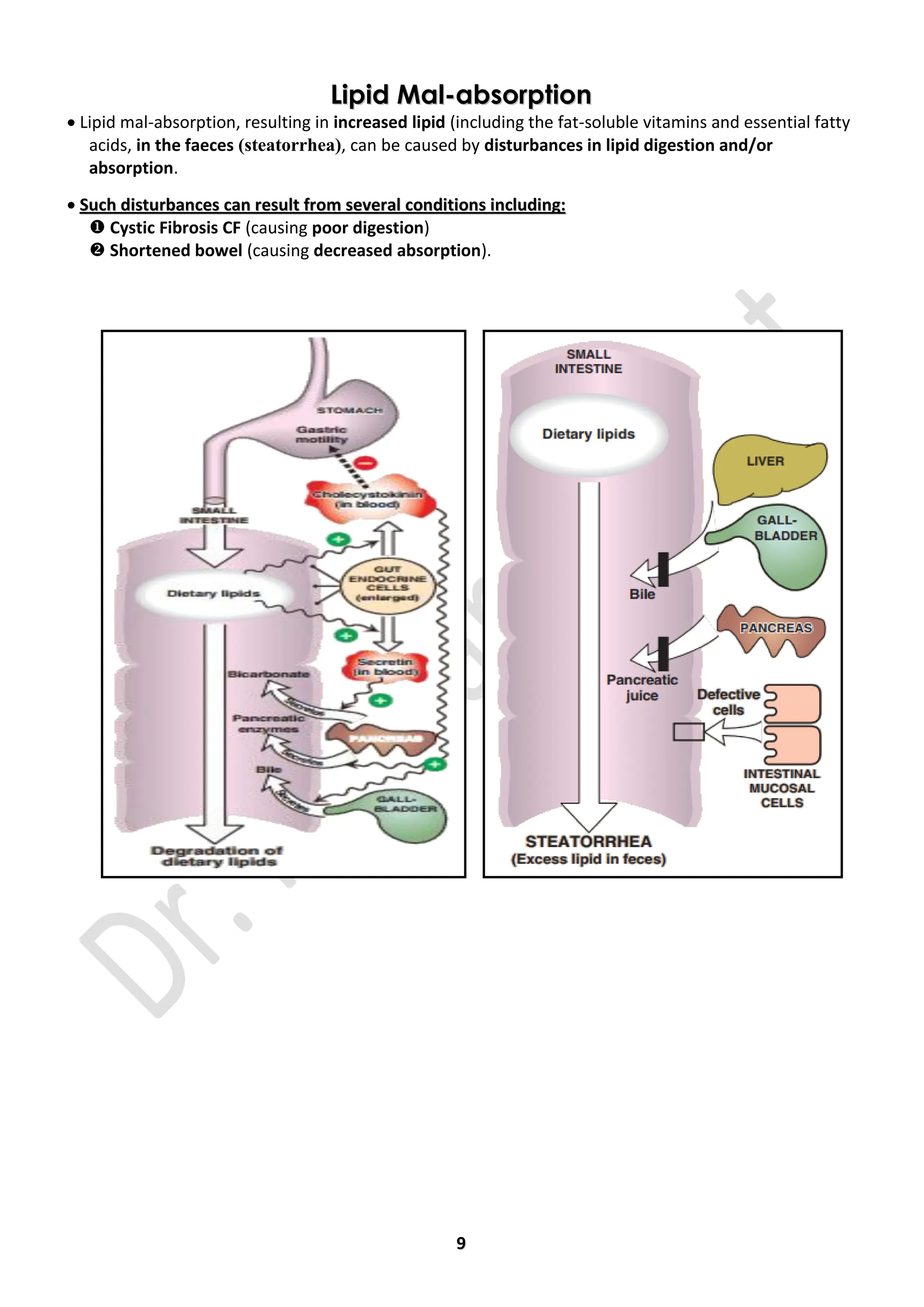 1) Lipid Digestion & absorption (1) (1).pdf