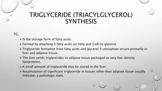1 lipidsynthesis.pptx111111111111111111111 | PPT
