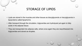 1 lipidsynthesis.pptx111111111111111111111 | PPT