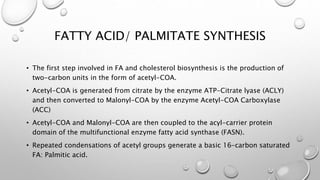 1 lipidsynthesis.pptx111111111111111111111 | PPT