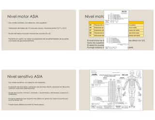Terapia Ocupacional y la Lesion medular. | PDF