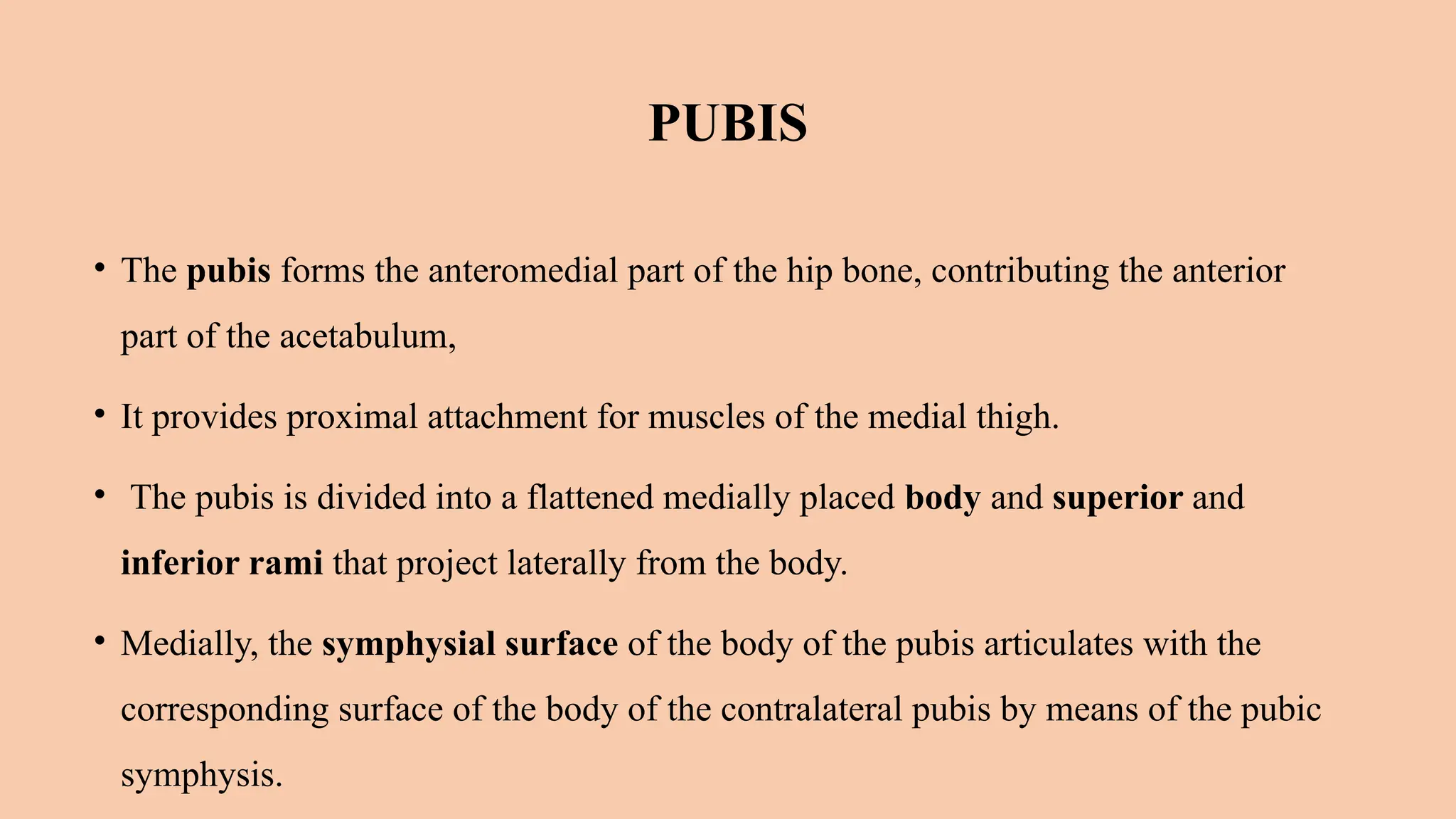 Anatomy of the Lower Limb of humans .pptx