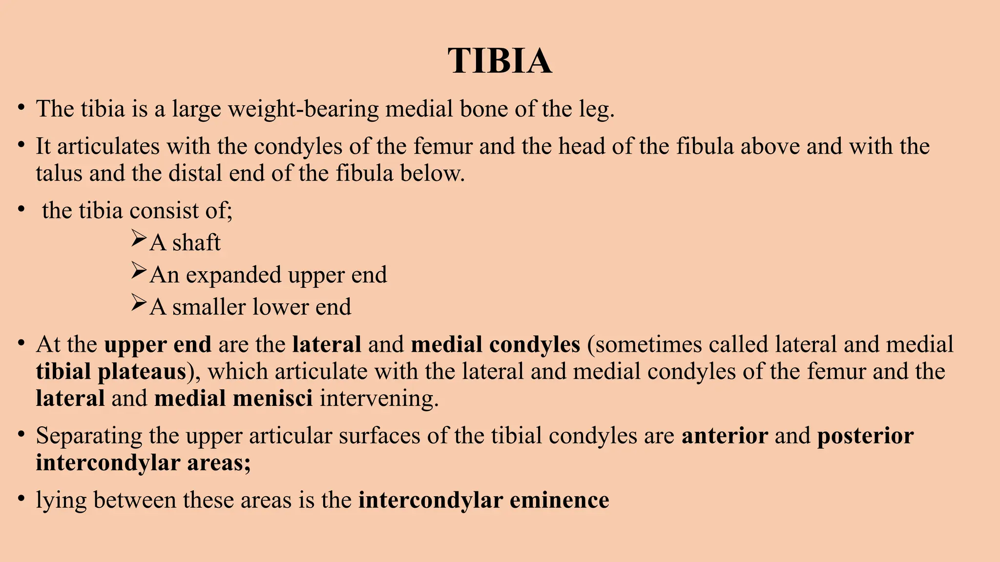 Anatomy of the Lower Limb of humans .pptx