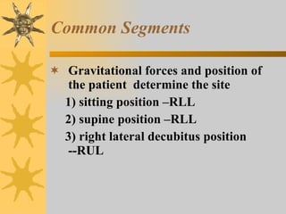 1 lung abscess(lh) | PPT