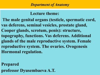 Anatomy of male Reproductive health.pptx