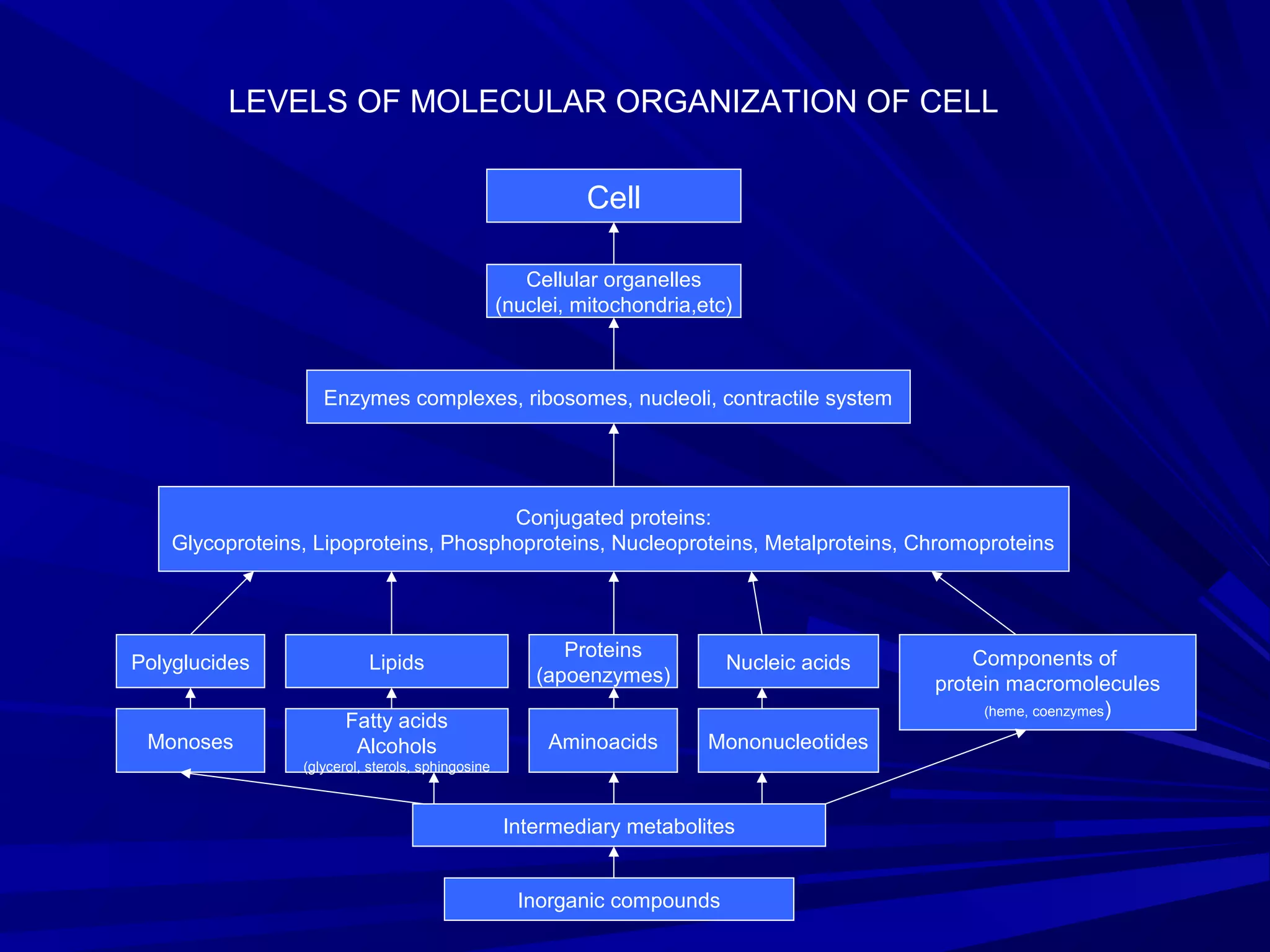 1 major chemical composition of living thing [biochemistry] | PPT