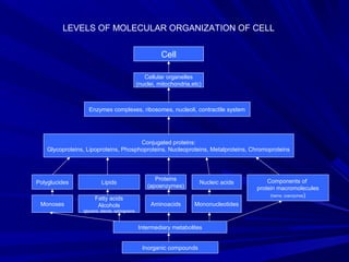 1 major chemical composition of living thing [biochemistry] | PPT