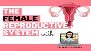 1 MALE AND FEMALE REPRODUCTIVE SYSTEM AND HORMONES.pptx