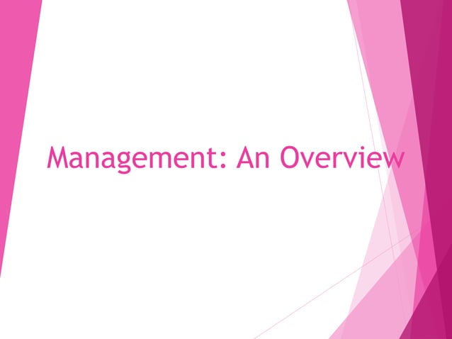 1 management_overview.ppt