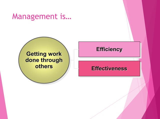 1 management_overview.ppt