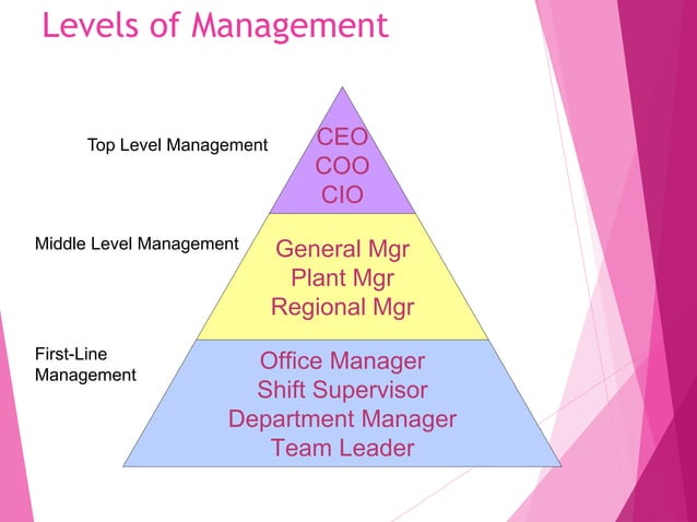 1 management_overview.ppt
