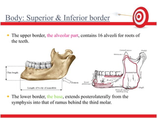mandible | PPTX