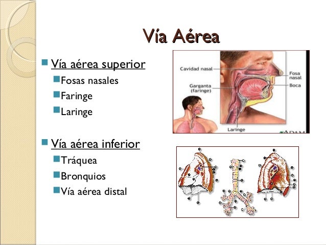 1 manejo de la via aerea