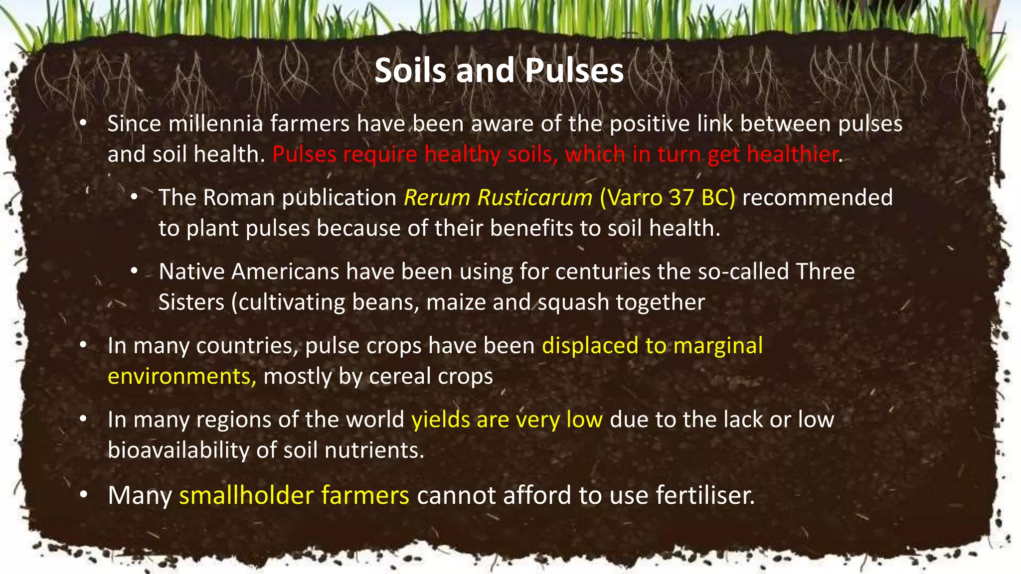 Soils and Pulses: symbiosis of life | PPTX