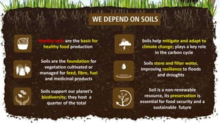 Soils and Pulses: symbiosis of life | PPTX | Agriculture | Industries