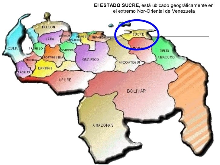 Estado Sucre-Mapa Mental