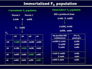 mapping population and types in molecular breeding | PPT