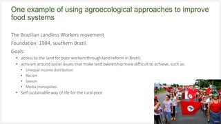 Agroecology as an approach to design sustainable Food Systems | PPTX