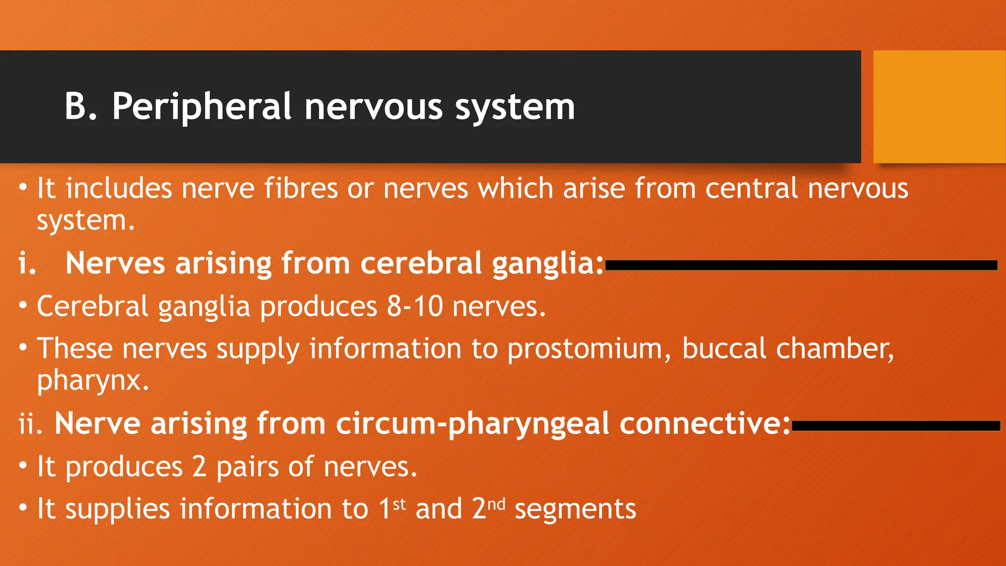Nervous_System_of_Earthworm which is connected with different nerves | PPT