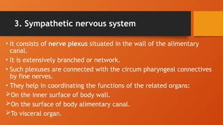 Nervous_System_of_Earthworm which is connected with different nerves | PPT
