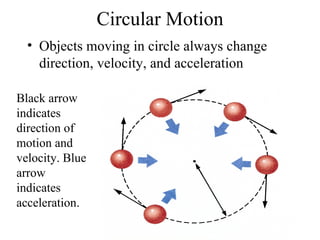 1 Measuring Motion | PPT | Physics | Science