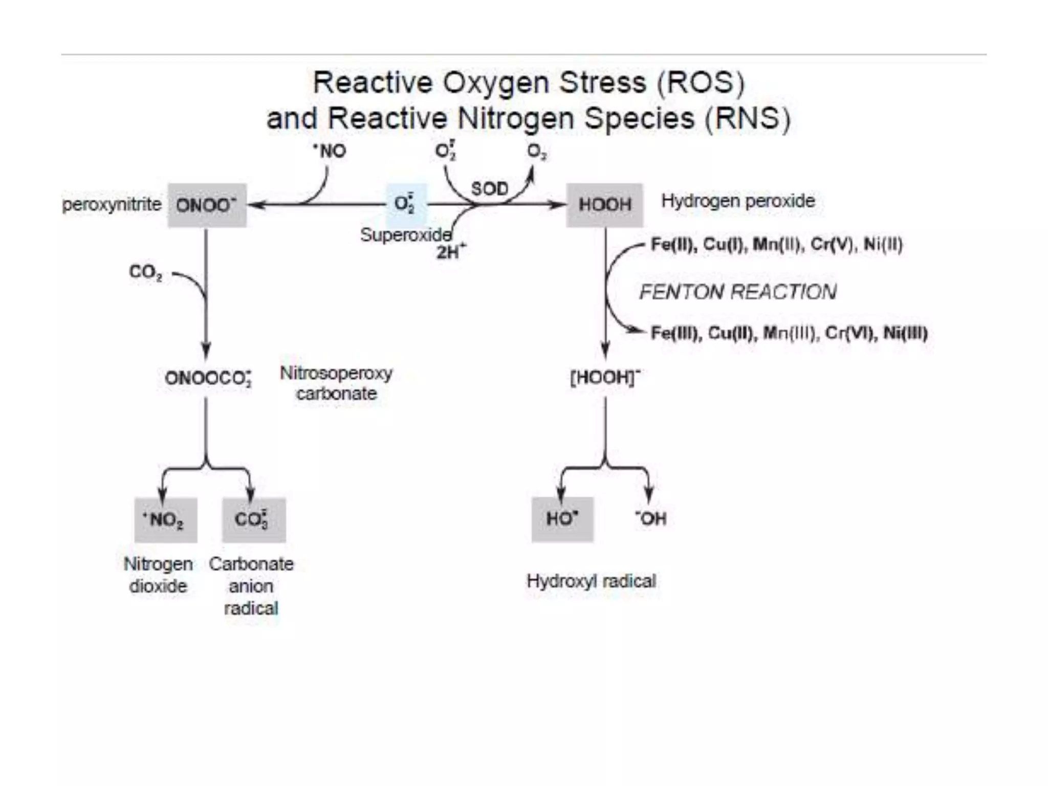 1 Mechanism of action of toxic agents (1).pptx