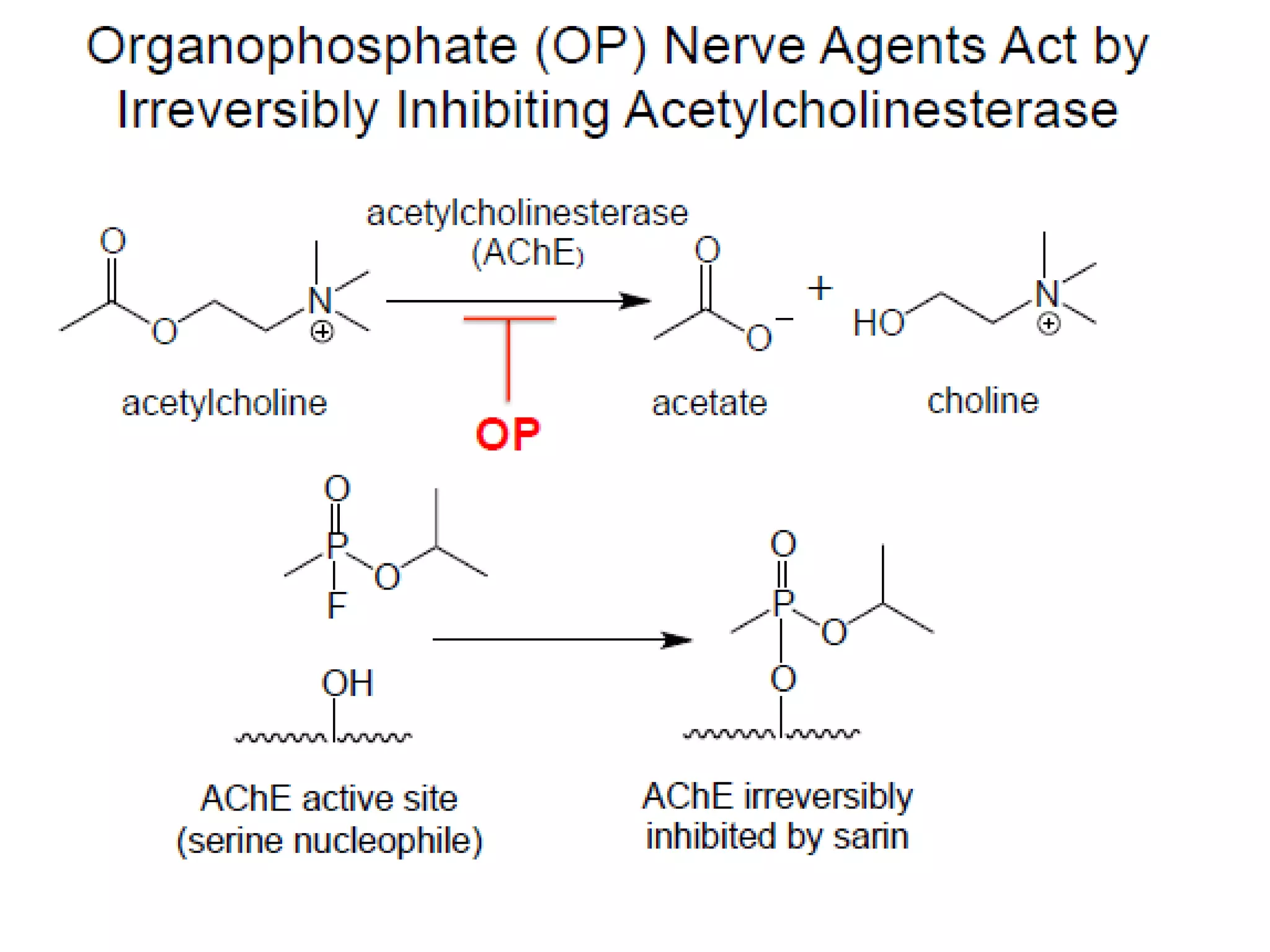 1 Mechanism of action of toxic agents (1).pptx