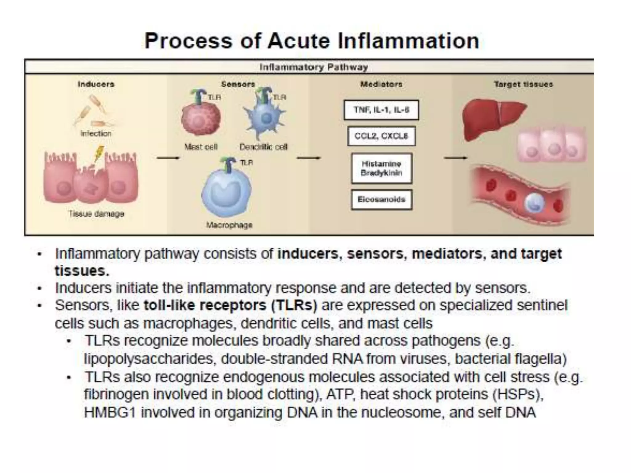 1 Mechanism of action of toxic agents (1).pptx