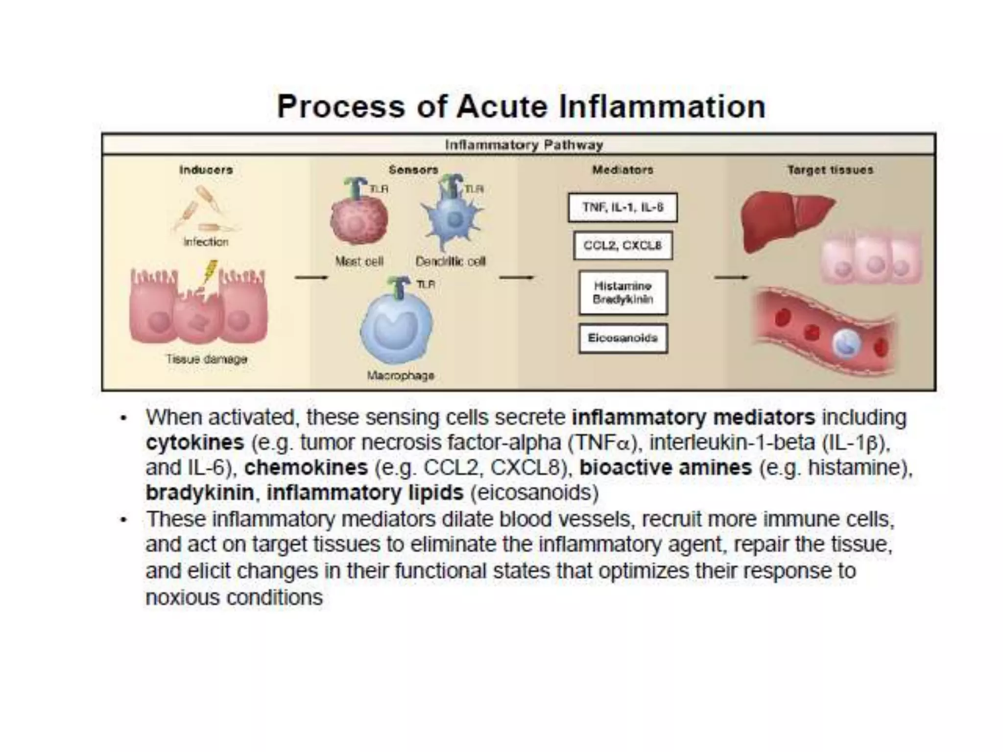1 Mechanism of action of toxic agents (1).pptx