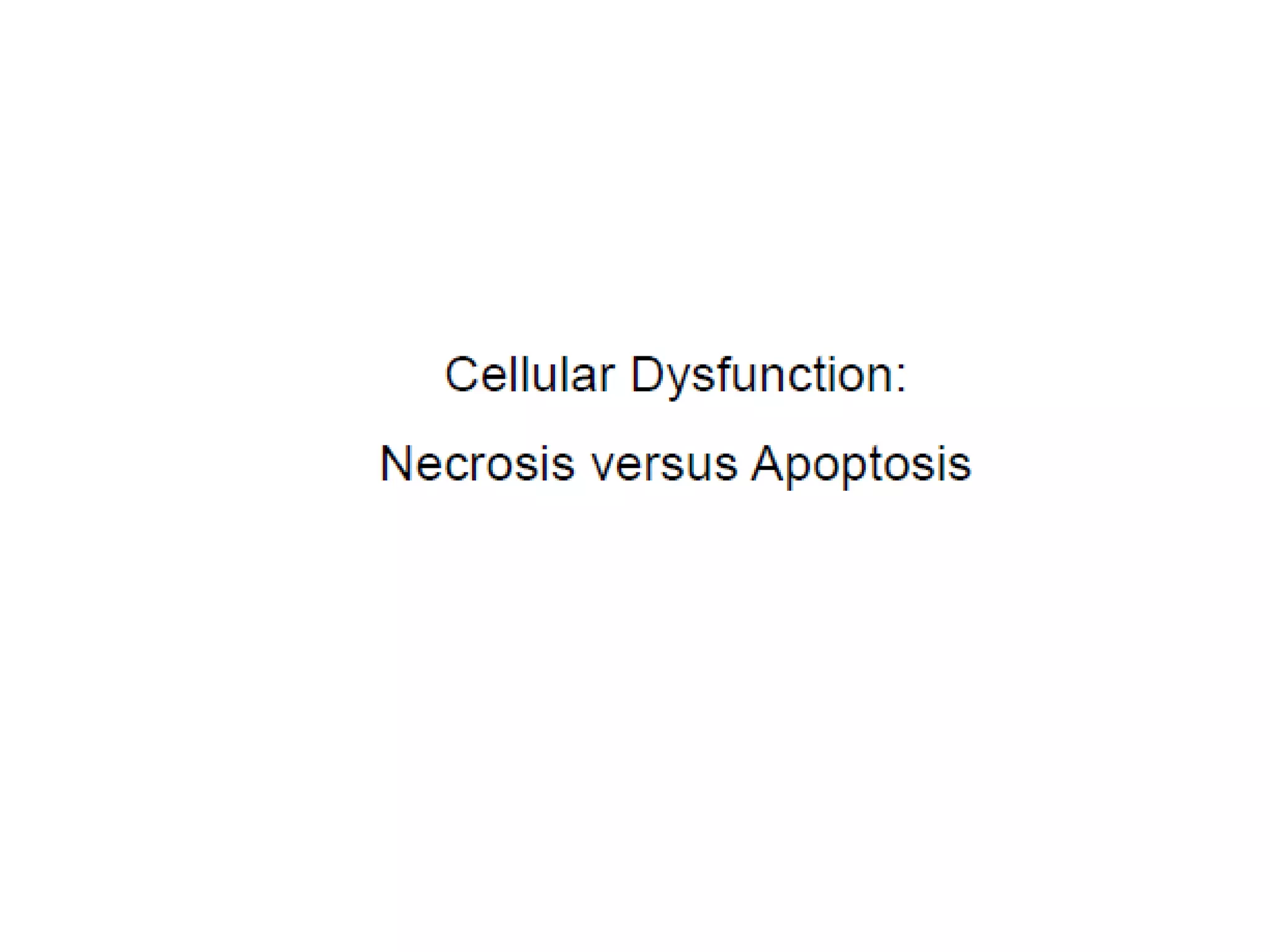 1 Mechanism of action of toxic agents (1).pptx